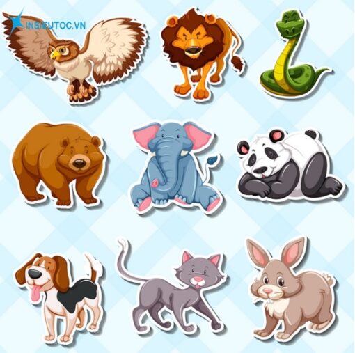 50+ Các mẫu sticker đẹp, hình ảnh sticker trang trí đẹp - In Siêu Tốc VN