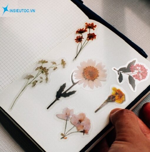 59+ Các mẫu sticker đẹp, hình ảnh sticker trang trí đẹp - In Siêu Tốc VN