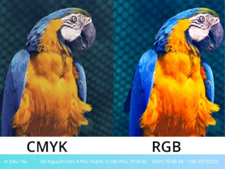 Phân biệt 02 hệ màu CMYK và RGB chi tiết nhất
